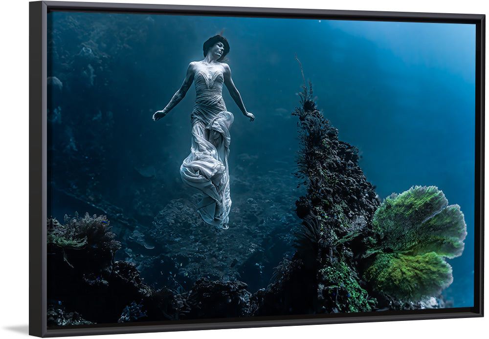 "Underwater Animals – Underwater Models The Daughter of Posidon 12", V ...